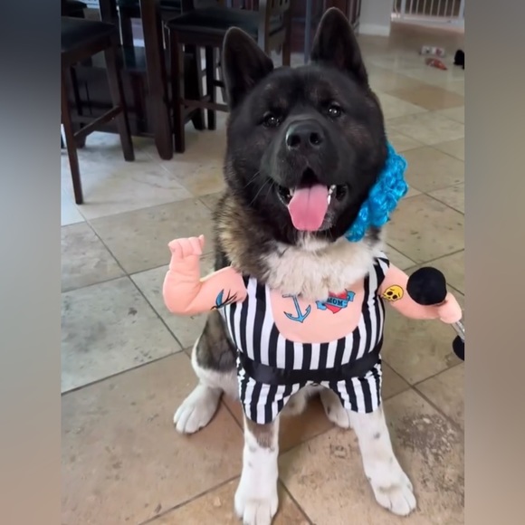thrills chills | Dog | Strongman Pet Costume | Poshmark